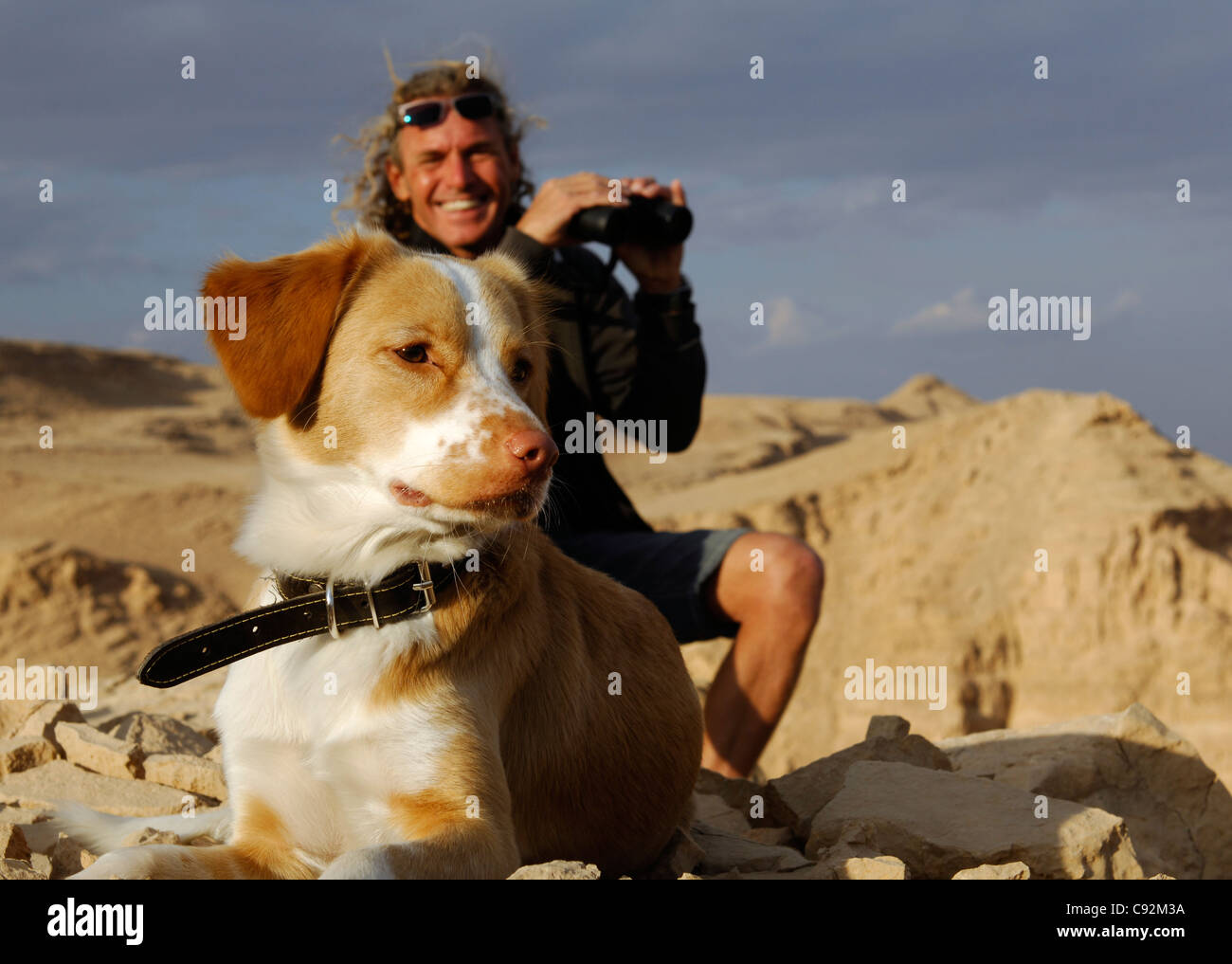 Man with Dogs Stock Photo - Alamy