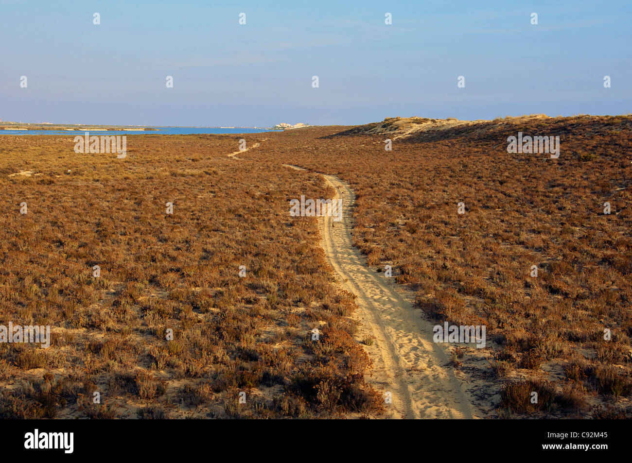 Ria Formosa Nature Park Quinta do Lago Algarve Portugal Stock Photo - Alamy