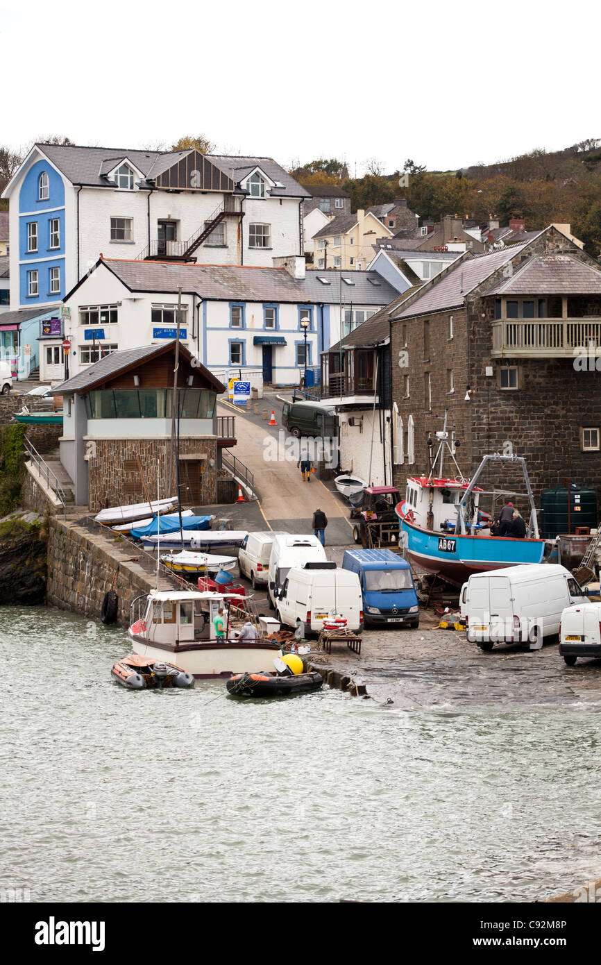 Cardigan bay wales dolphins hi-res stock photography and images - Alamy