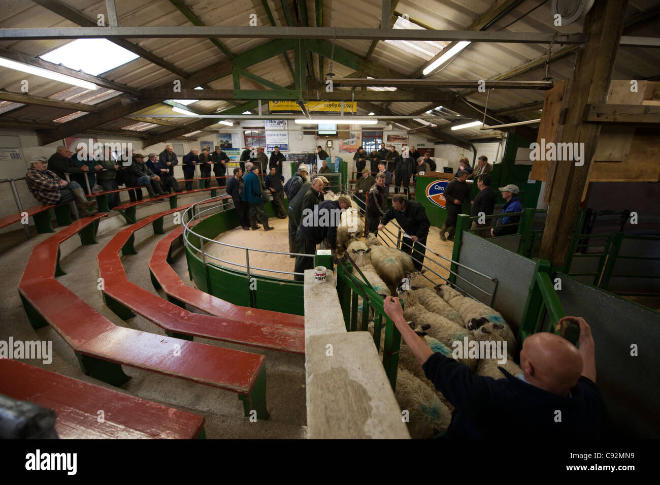 Hawes auction mart hi-res stock photography and images - Alamy