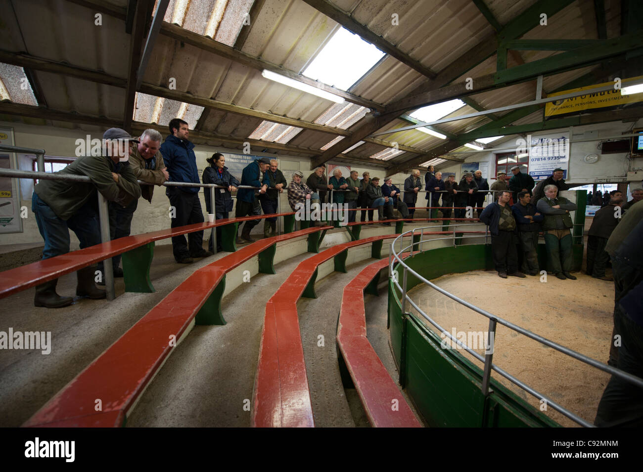 Hawes livestock auction market wensleydale hi-res stock photography and ...