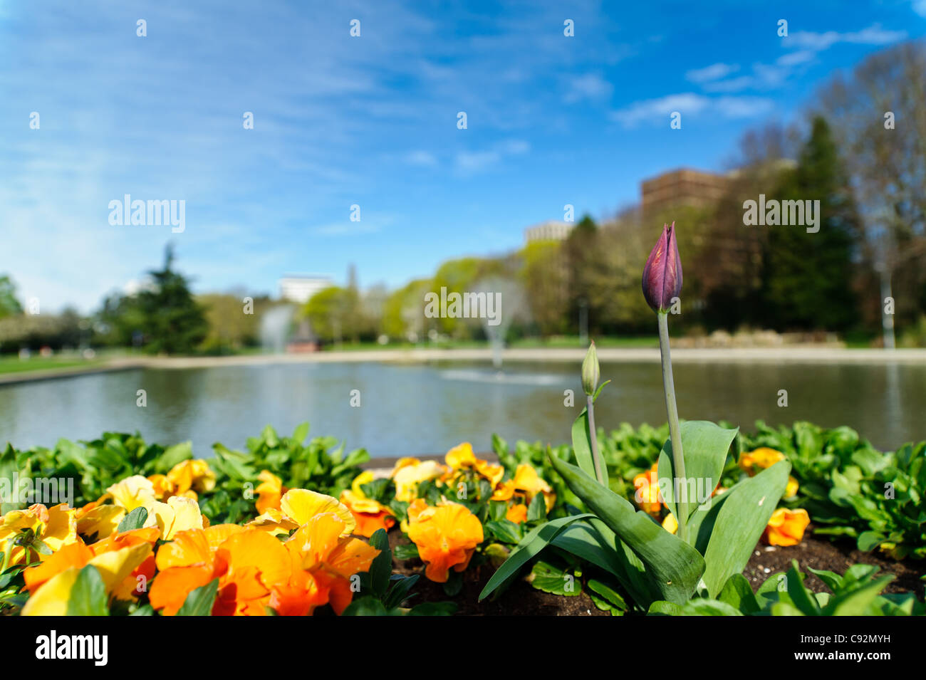 Eastrop park hi-res stock photography and images - Alamy