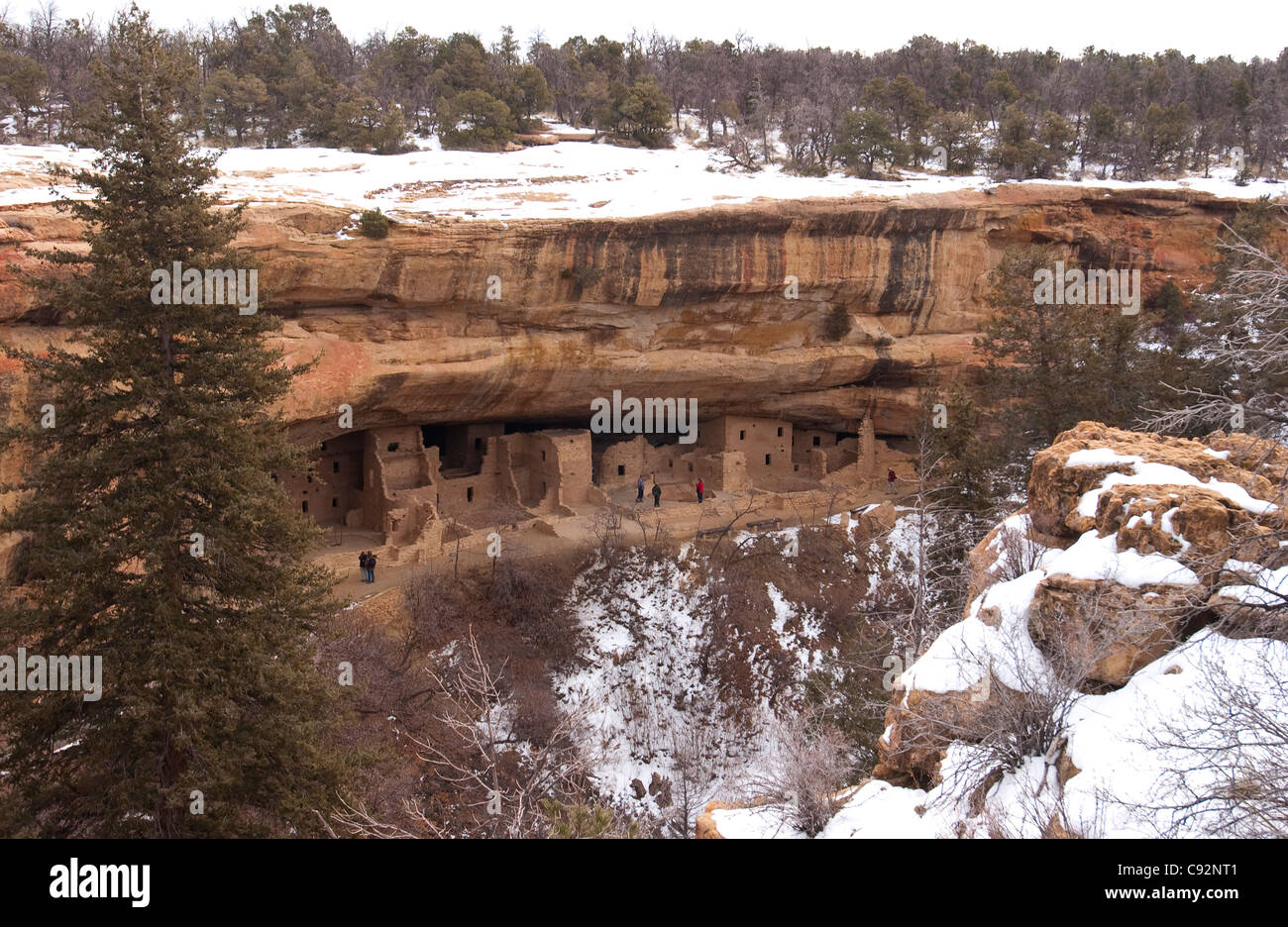 Indian cliff dwellings: Spruce Tree House at Mesa Verde National Park ...
