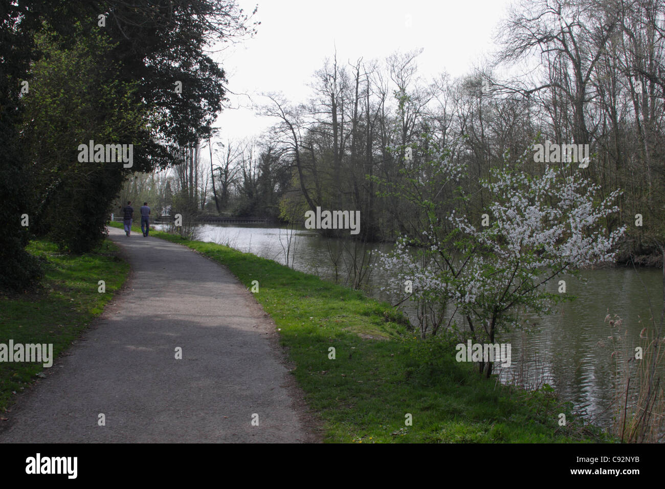 Spring river scene at Sonning Berkshire Stock Photo - Alamy
