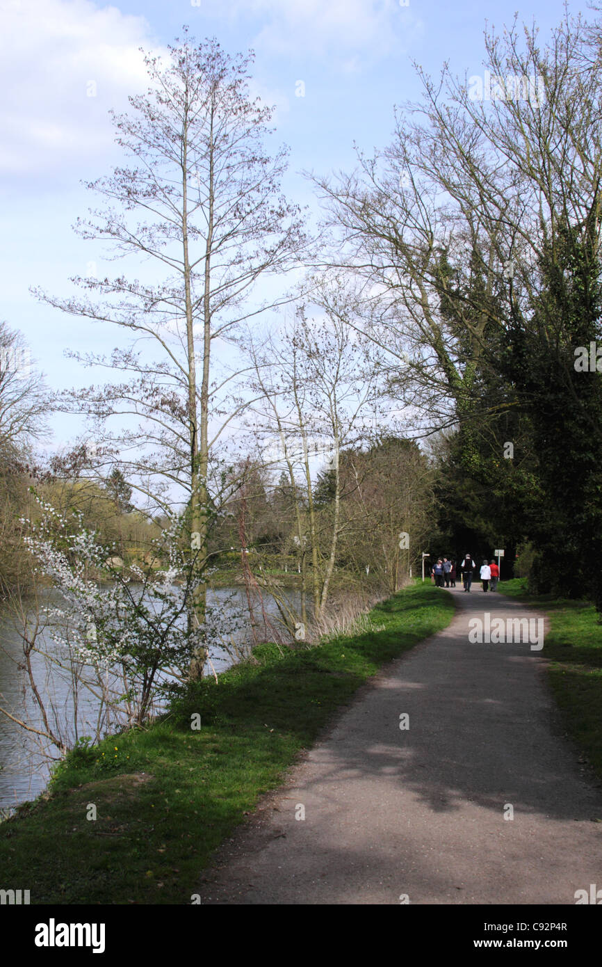 Spring river scene at Sonning Berkshire Stock Photo - Alamy