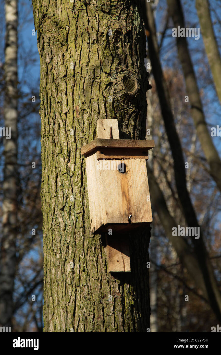 Birdhouse on a tree Stock Photo - Alamy