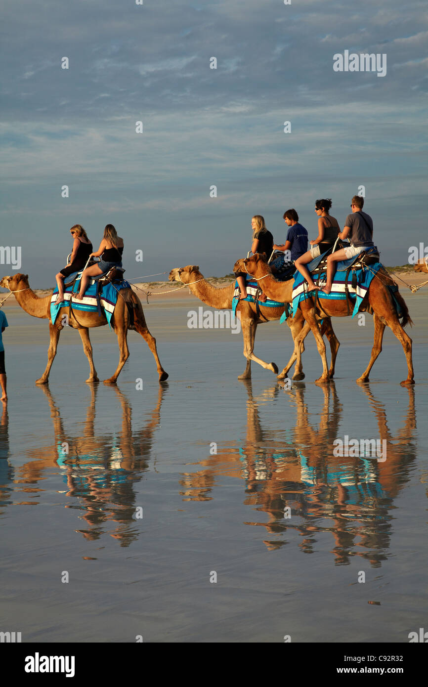 Tourist camel train on Cable Beach, Broome, Kimberley Region, Western ...