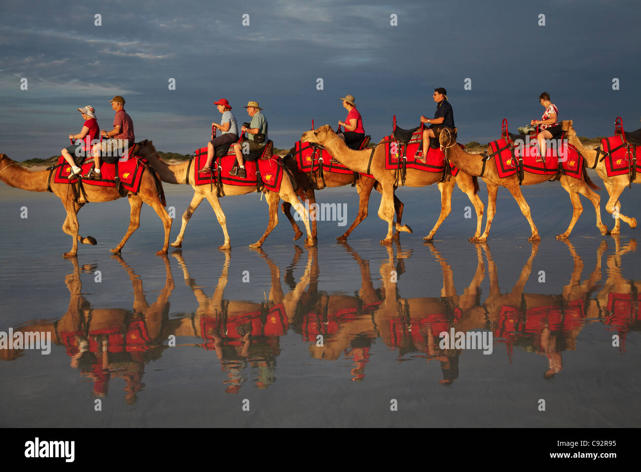 Tourist camel train on Cable Beach, Broome, Kimberley Region, Western ...