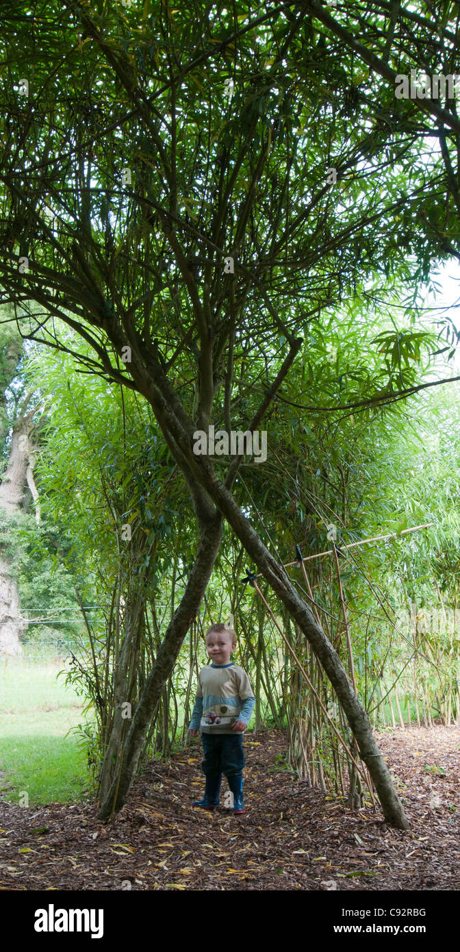 Toddler in willow maze Stock Photo - Alamy