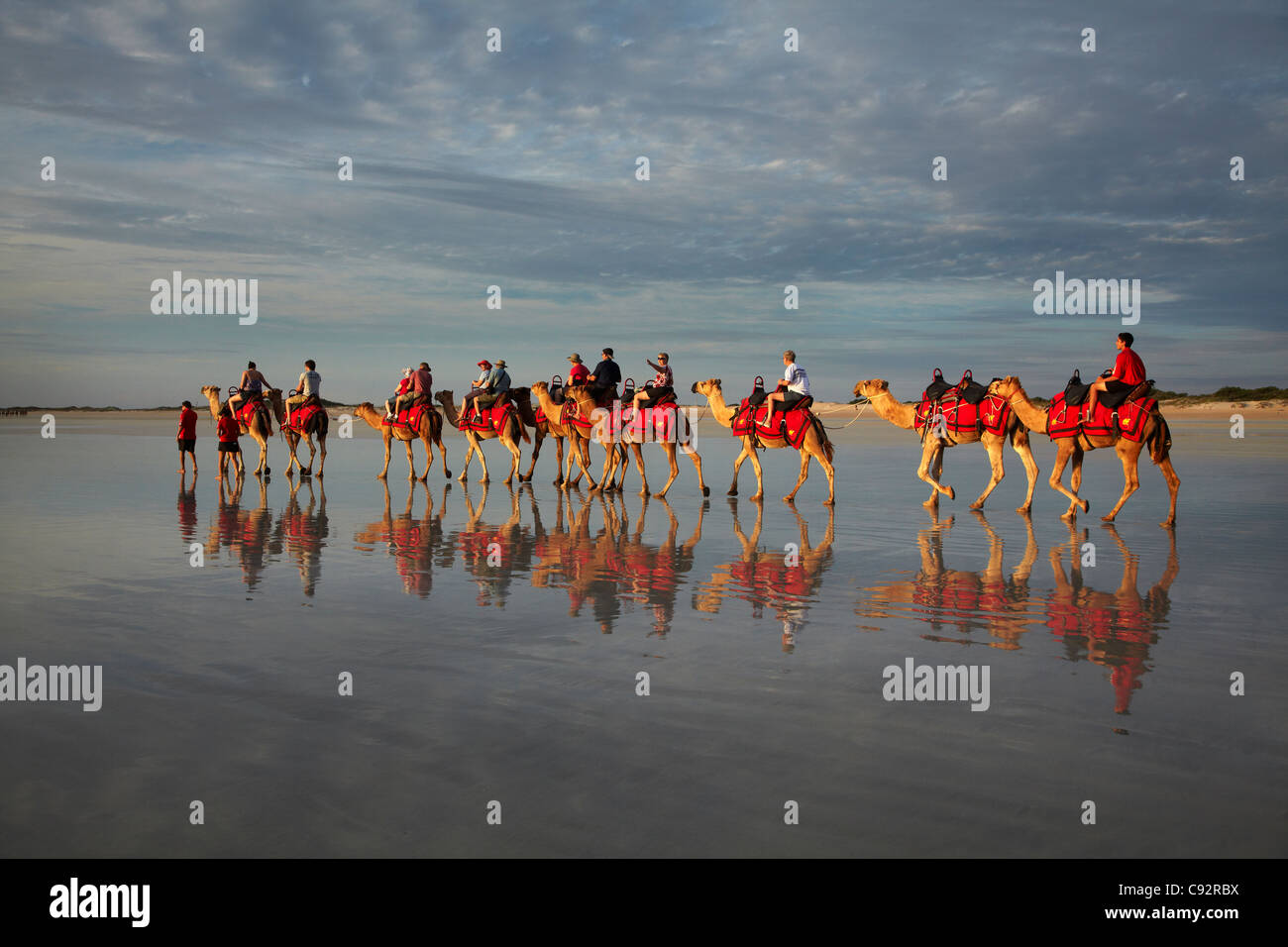 Tourist camel train on Cable Beach, Broome, Kimberley Region, Western ...