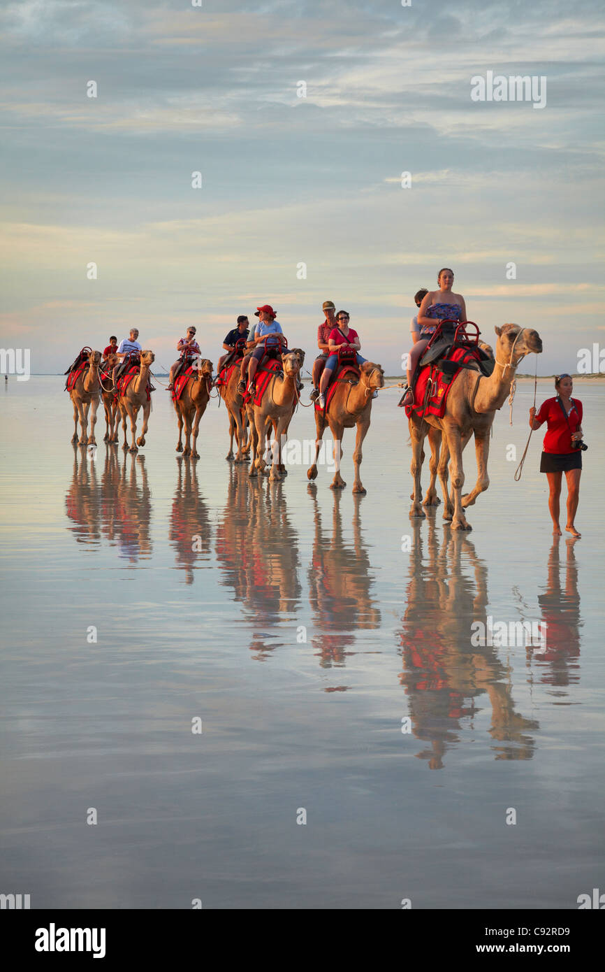 Tourist camel train on Cable Beach, Broome, Kimberley Region, Western ...