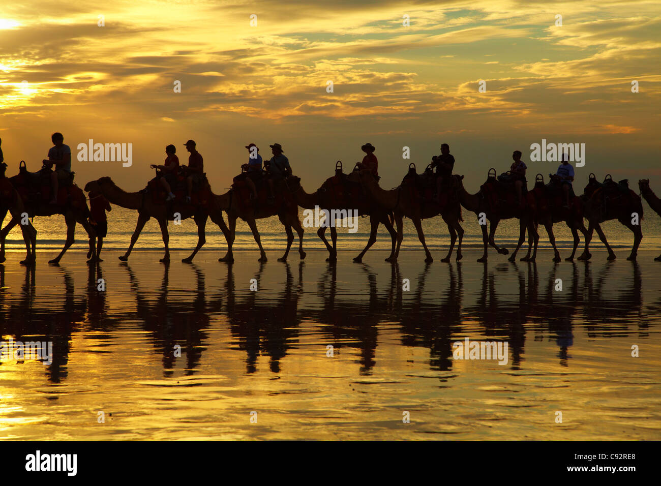 Tourist camel train on Cable Beach at sunset, Broome, Kimberley Region ...