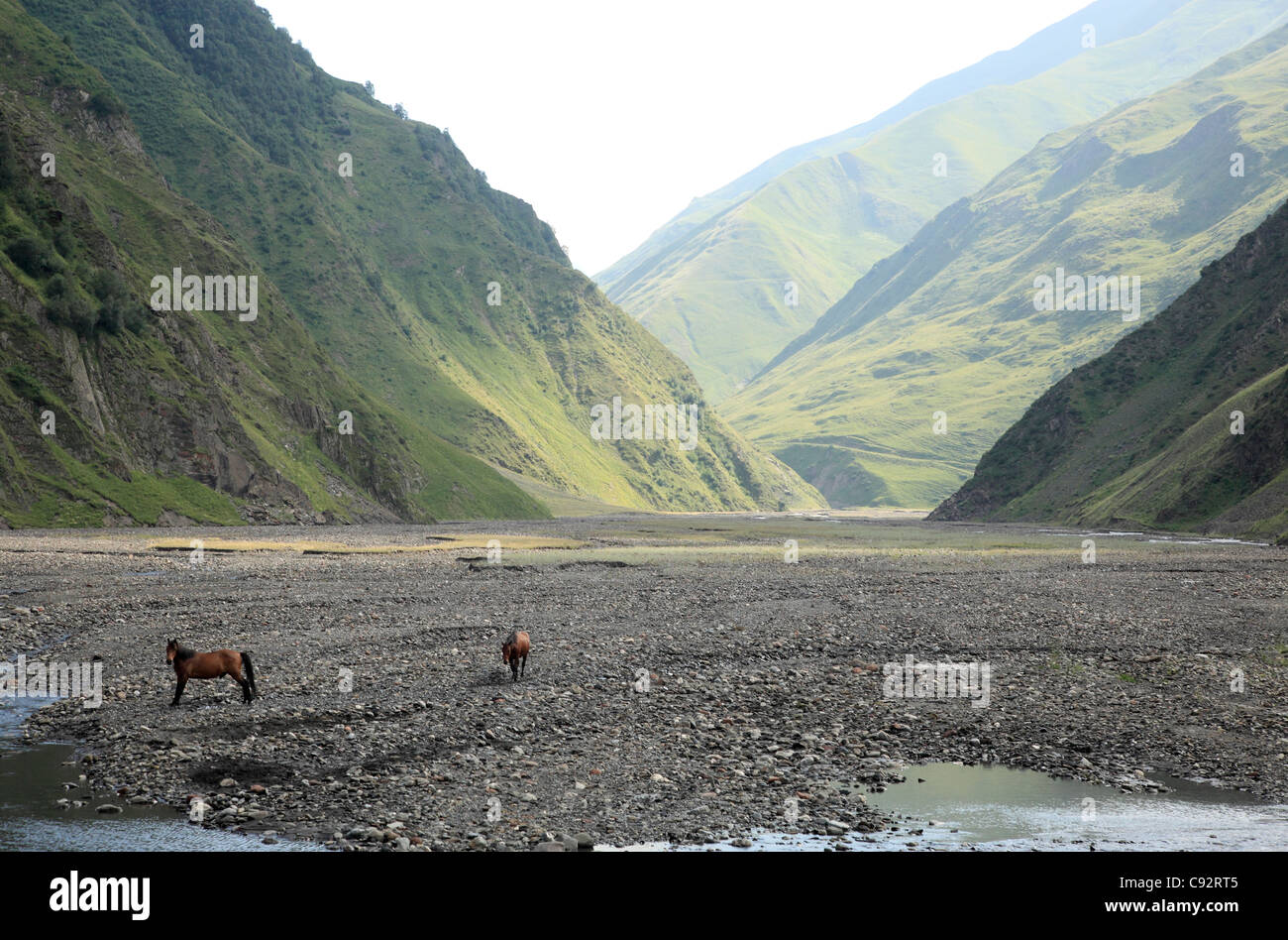 The Sno Valley is a popular visiting place for trekking because of its ...