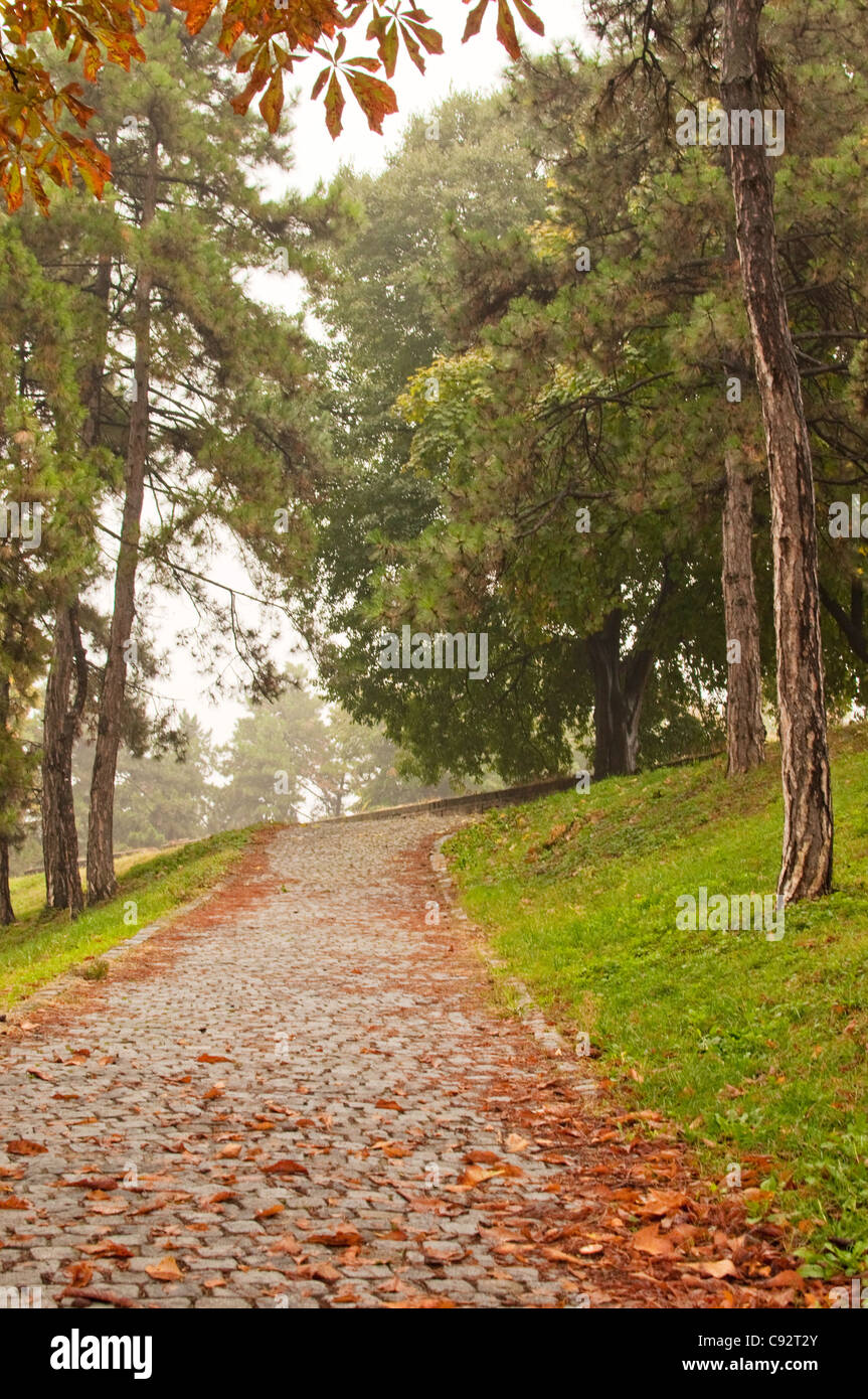 Autumn scenery, a walk path through the park on a cloudy and rainy day ...
