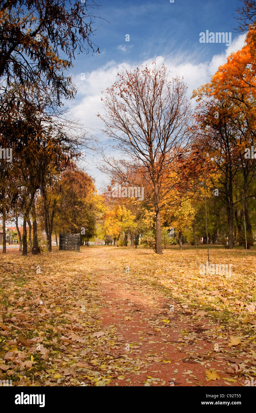 Autumn scenery. Beautiful golden fall in the park Stock Photo - Alamy