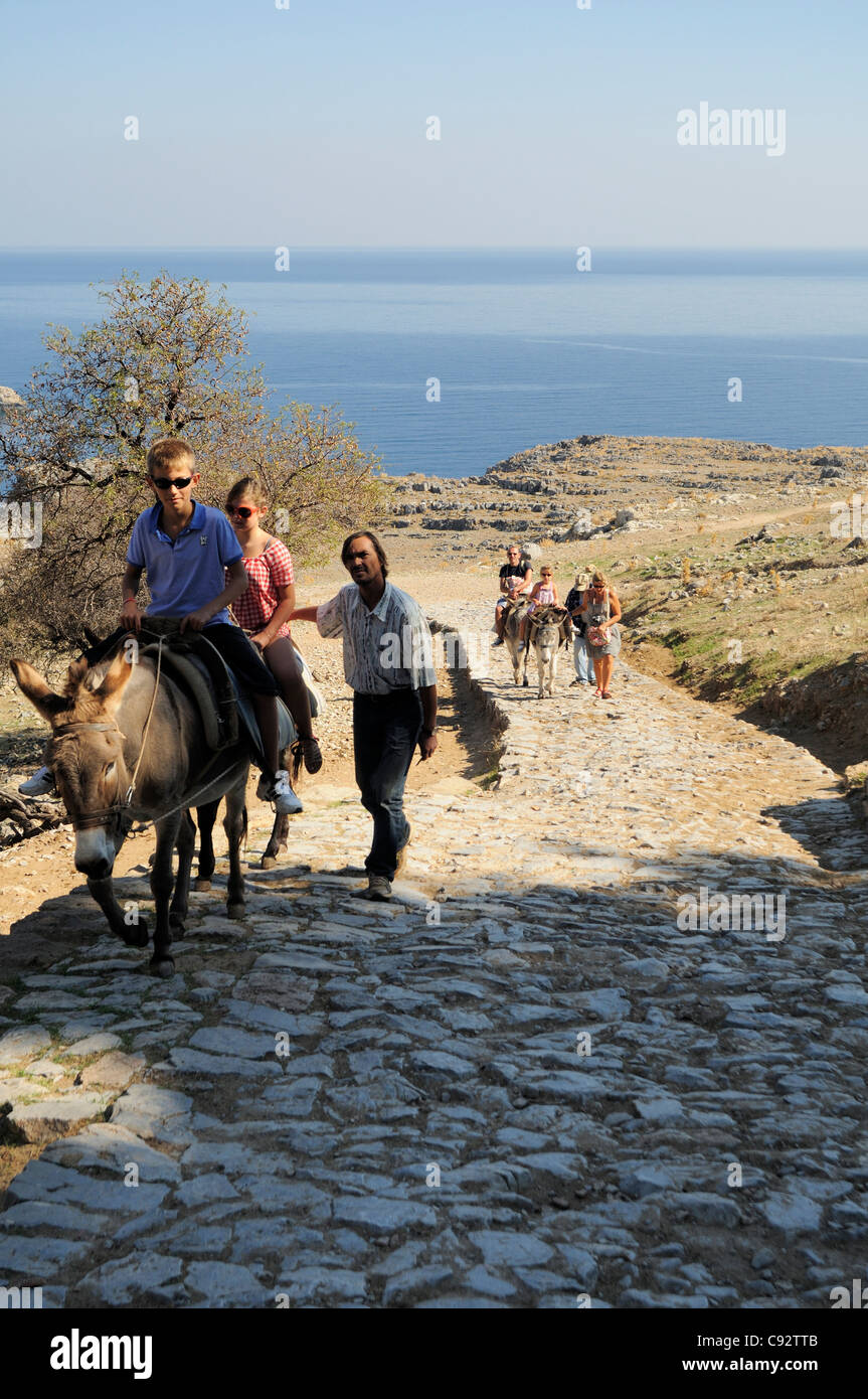 Donkeys taking tourists up the trail which leads from Lindos Town up to ...