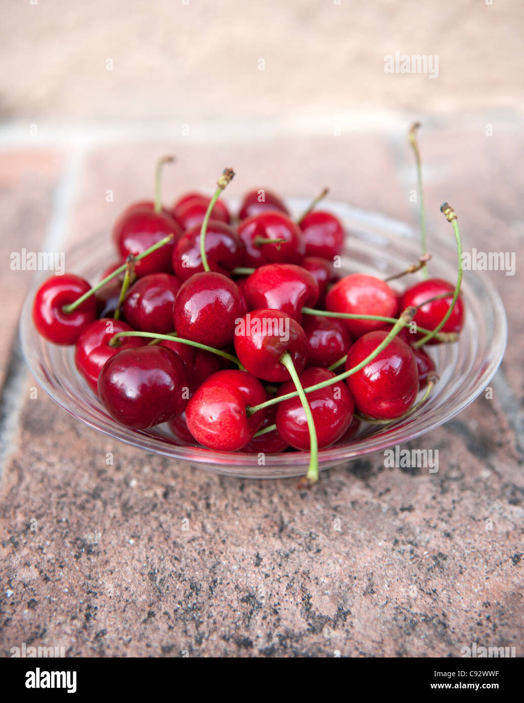 The climate of Northern Tuscany means it is ideal for growing many ...