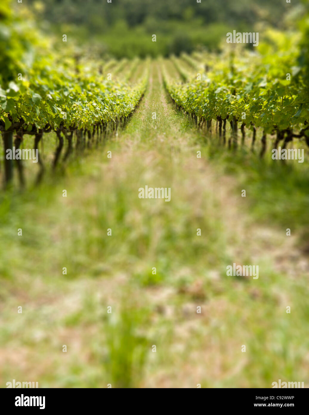 Wide array hi-res stock photography and images - Alamy