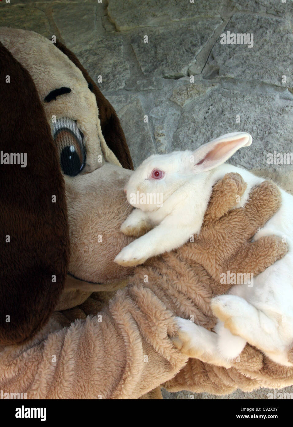 A costume puppet dog holding a red eyed white rabbit Stock Photo - Alamy