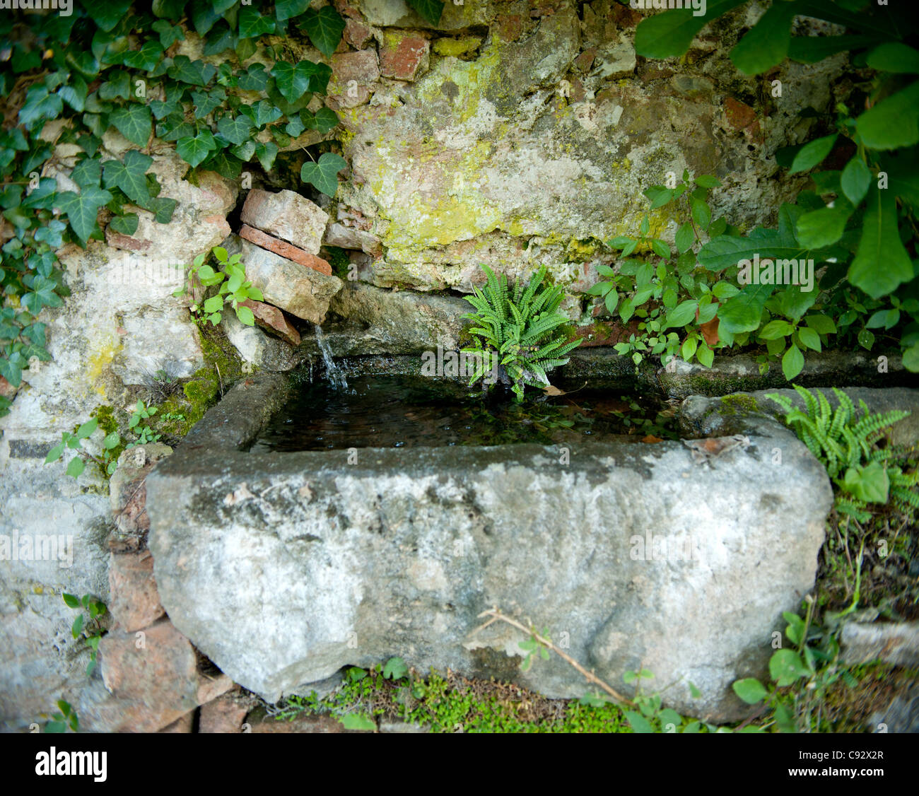 Historic remains of milling can be seen in many places in Tuscany where ...