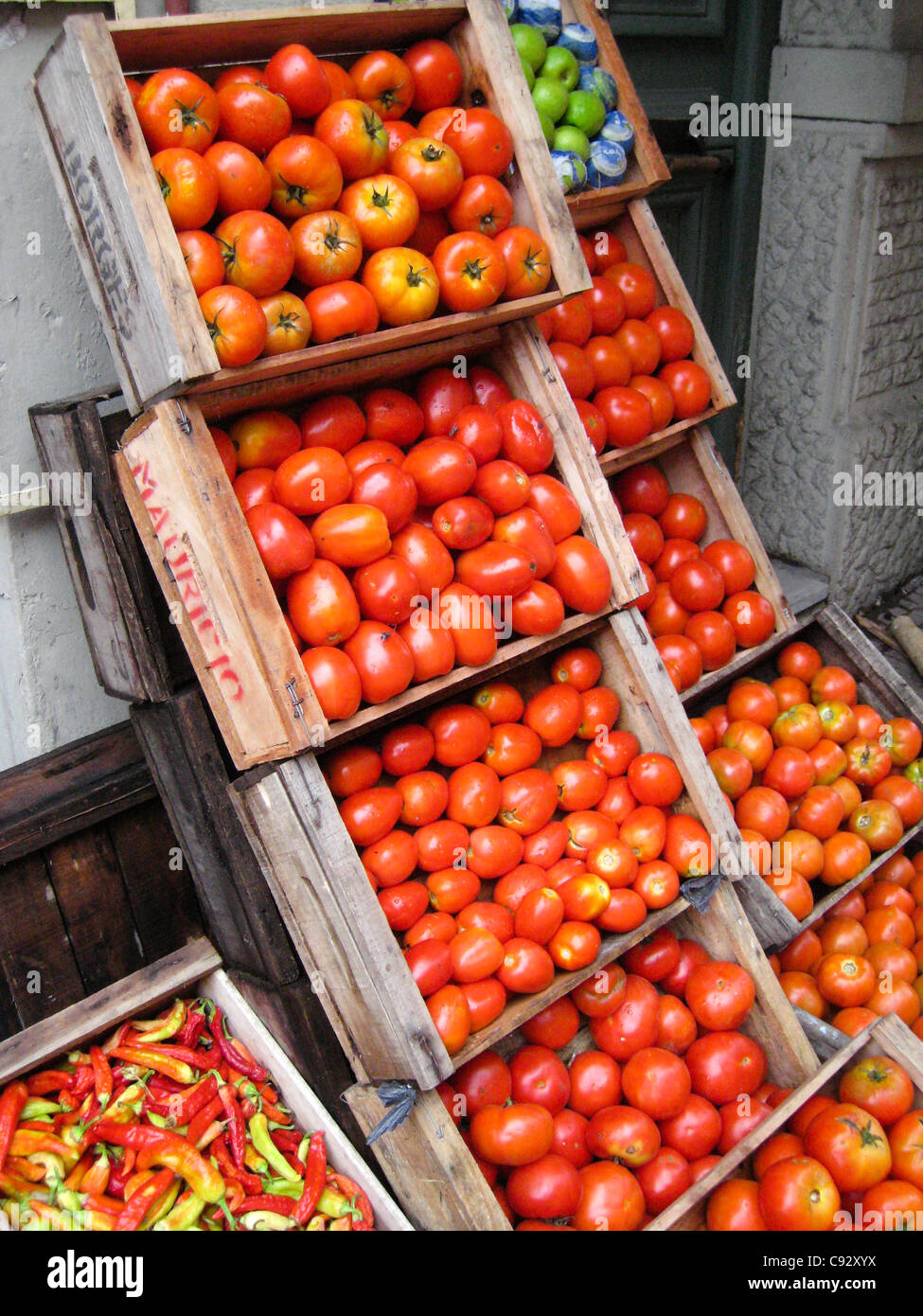 Montevideo, Montevideo, Uruguay Display of red tomatoes Stock Photo - Alamy