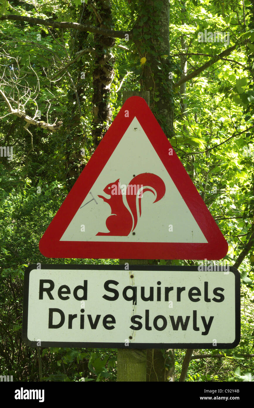 Signs in the Lake District warning of rare Red Squirrels Stock Photo ...