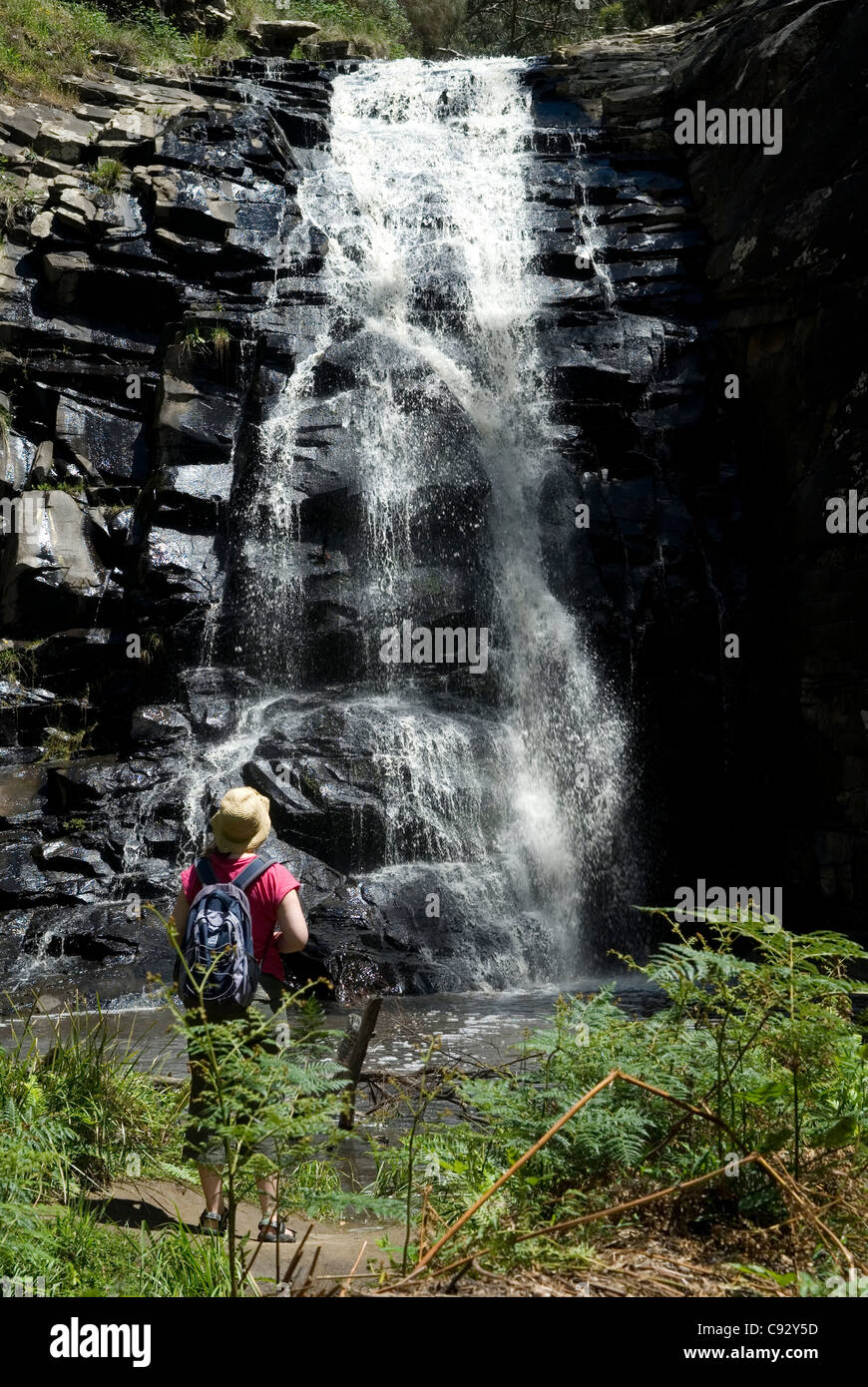 Angahook hi-res stock photography and images - Alamy