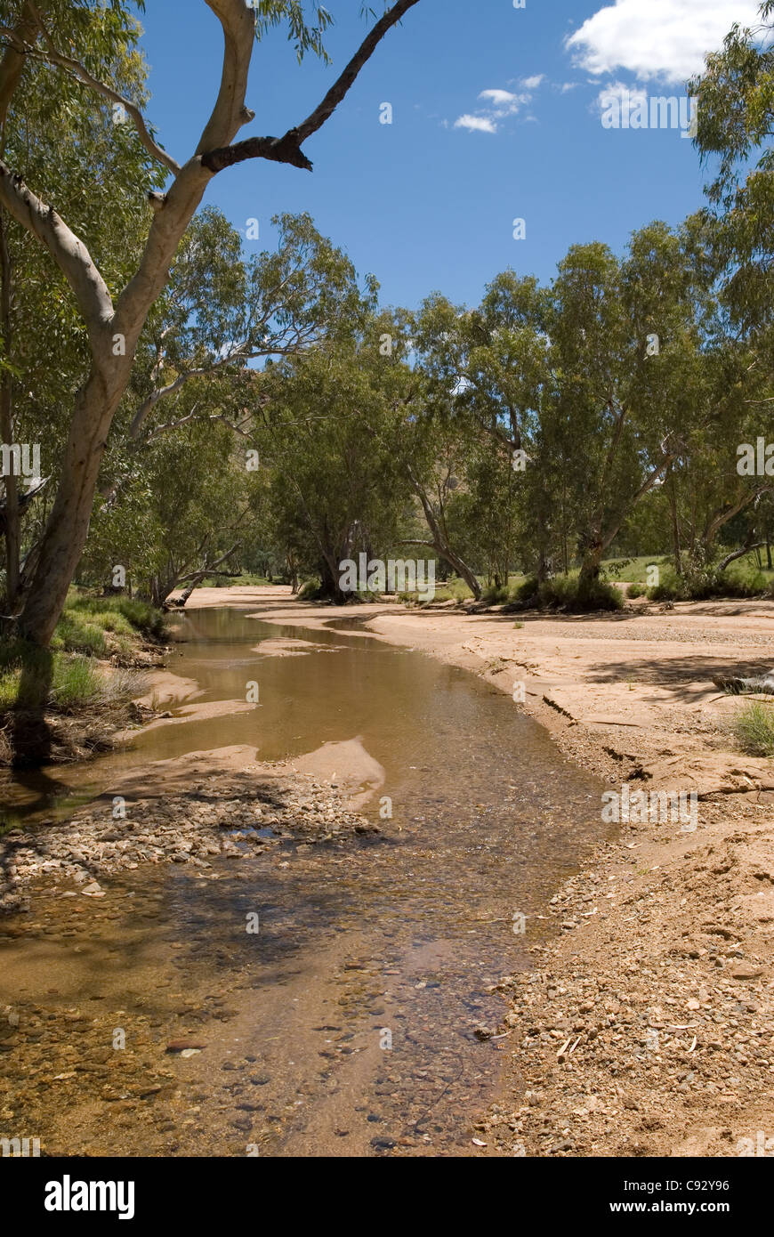 The Todd River flows almost through the center of Alice Springs Stock ...