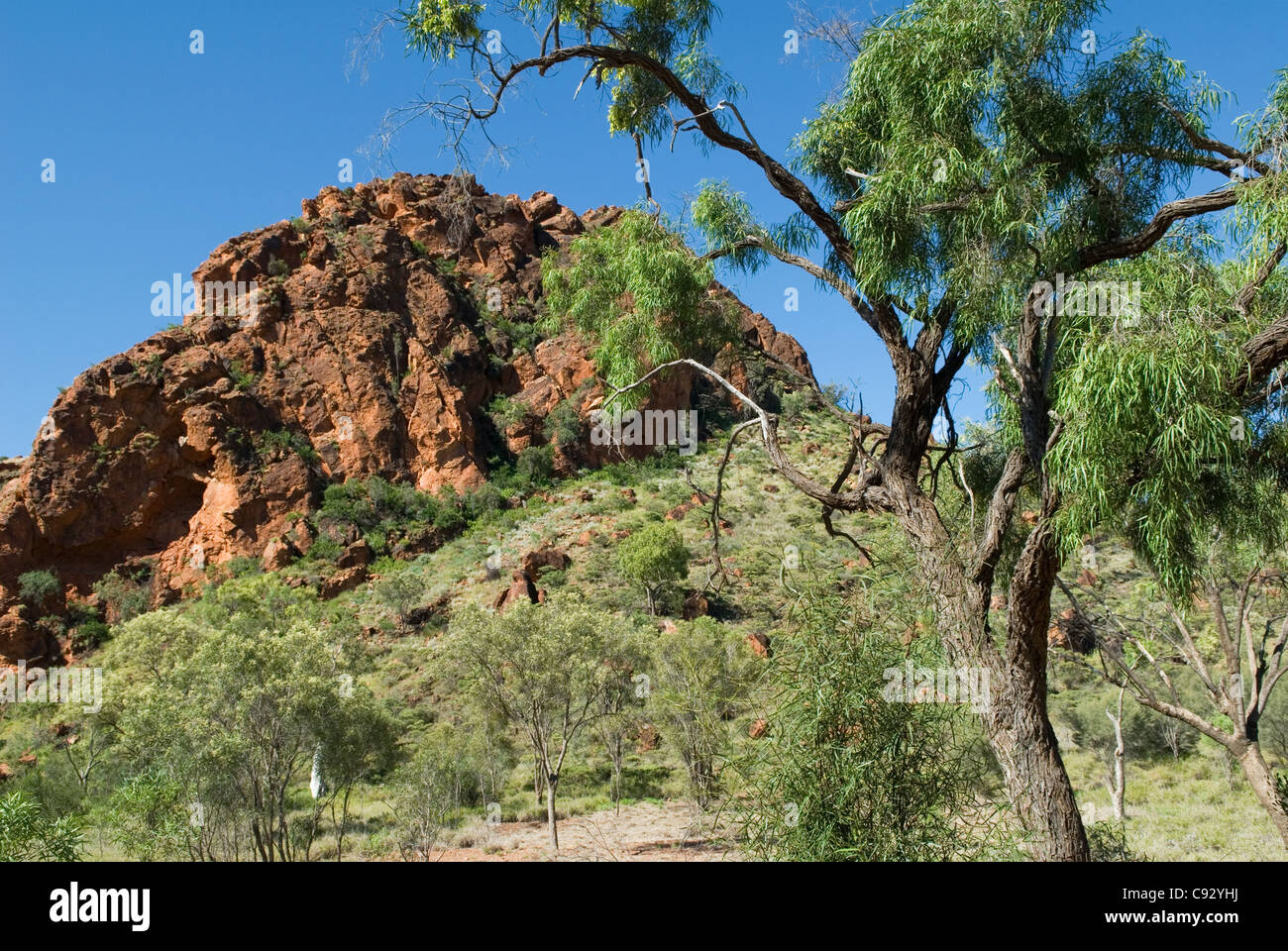 N'Dhala Gorge contains thousands of rock carvings (petroglyphs) by the ...