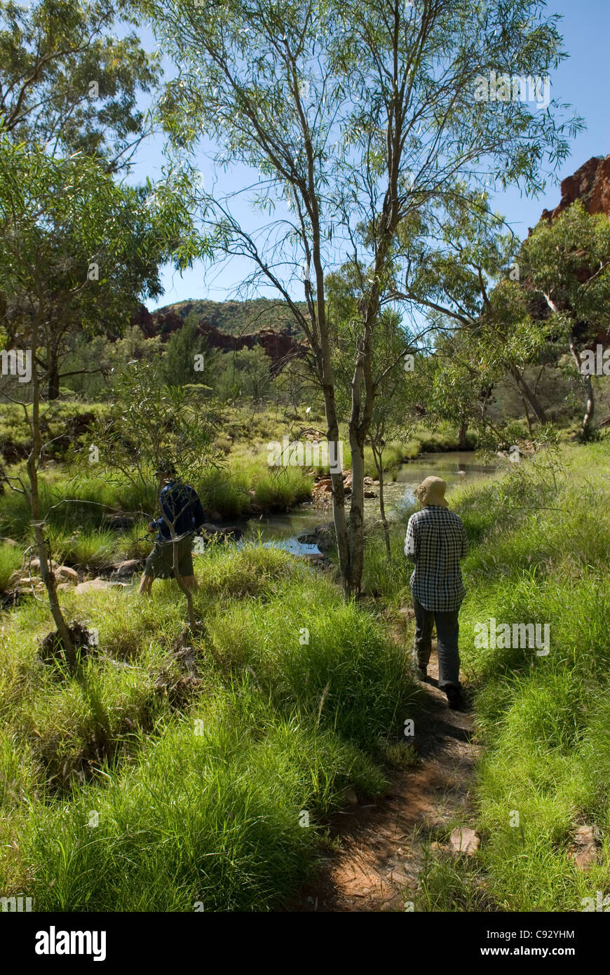N'Dhala Gorge contains thousands of rock carvings (petroglyphs) by the ...
