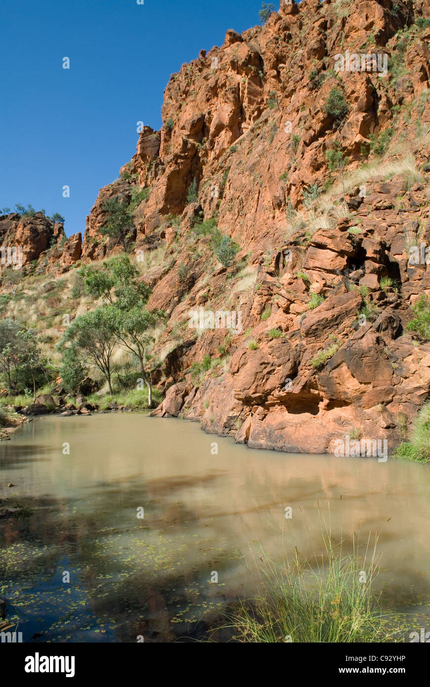 N'Dhala Gorge contains thousands of rock carvings (petroglyphs) by the ...