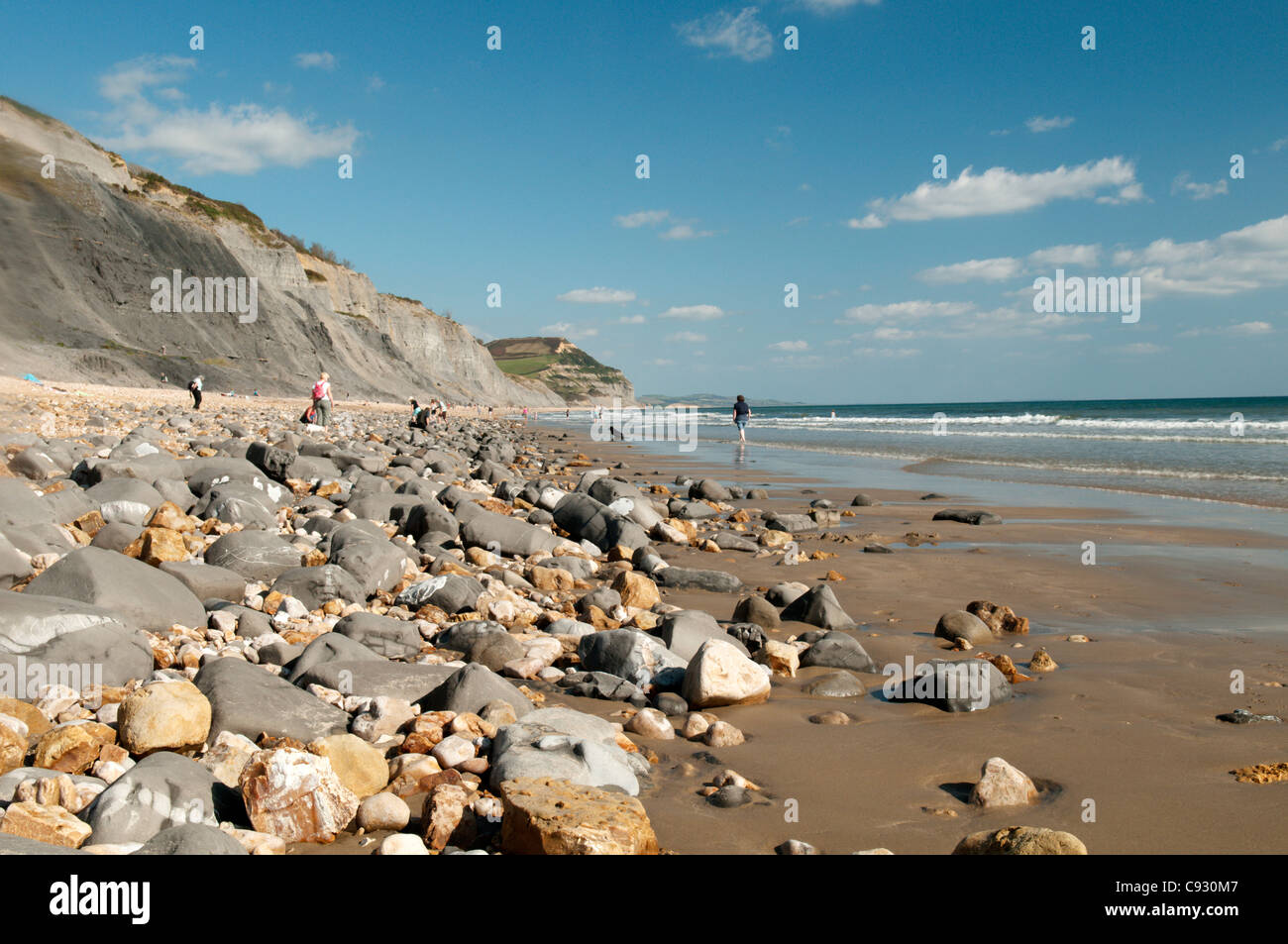 The grey cliffs of Cain's Folly loom over the beach at Charmouth ...