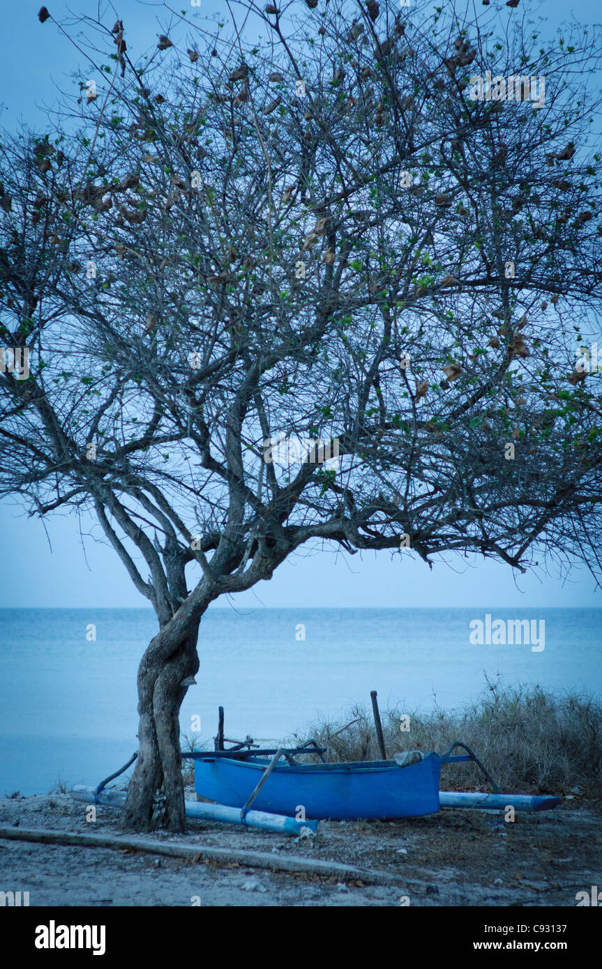 Blue boat on the beach under a tree Stock Photo - Alamy