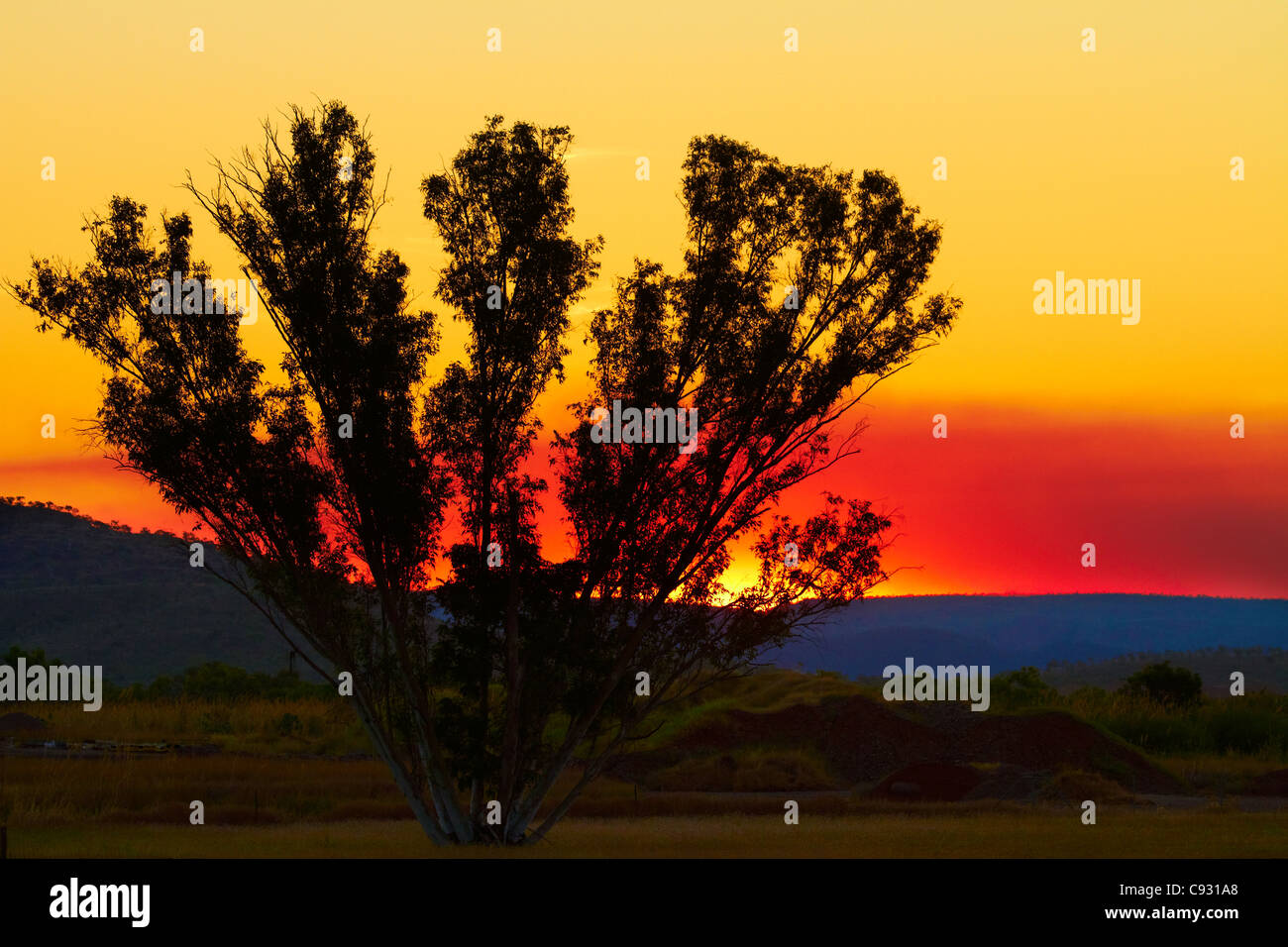 Sunset and tree, Kununurra, Kimberley Region, Western Australia ...