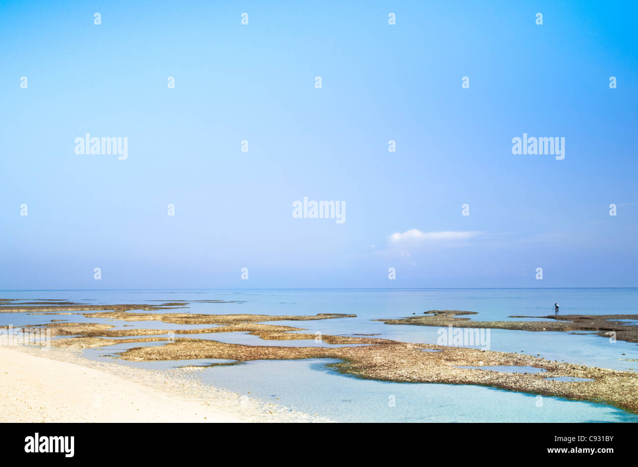 Lonely fisherman catching fish on the reef Stock Photo - Alamy