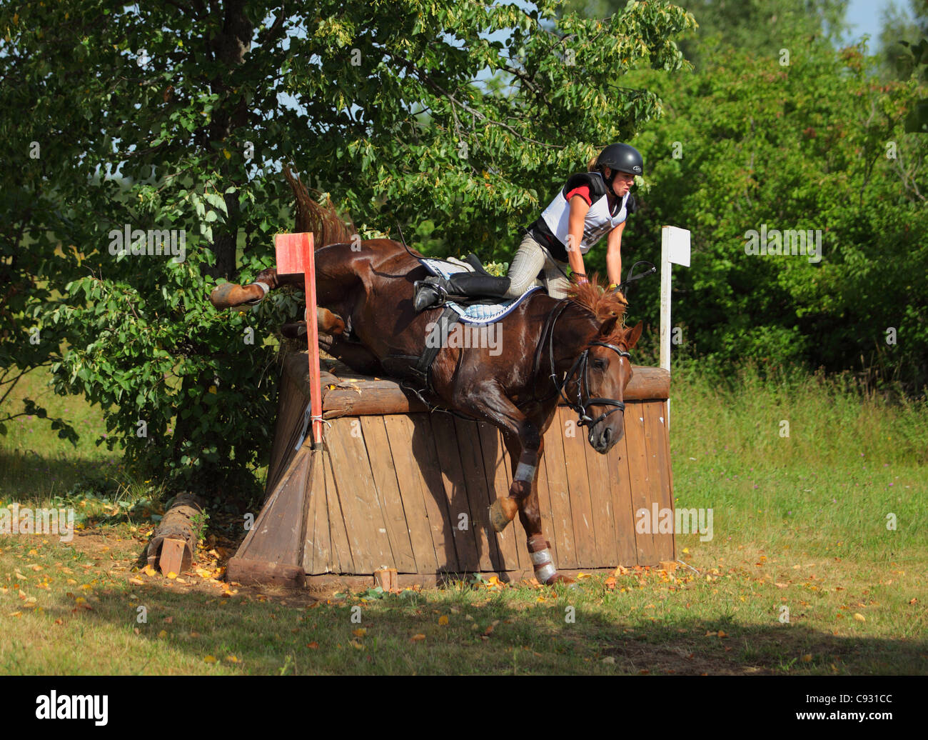Brown horse dismount his rider over the obstacle Stock Photo - Alamy