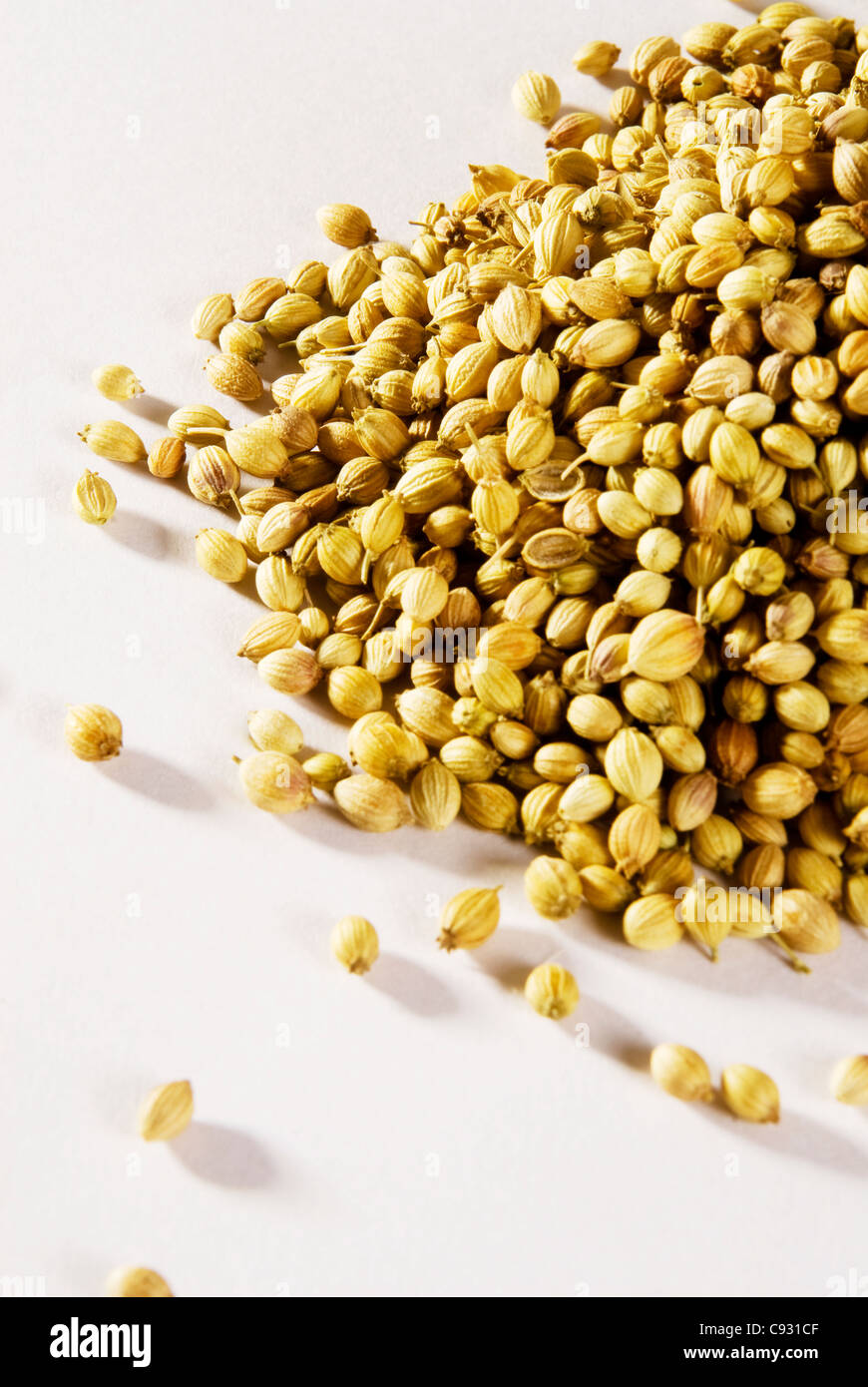 Coriander grains hi-res stock photography and images - Alamy