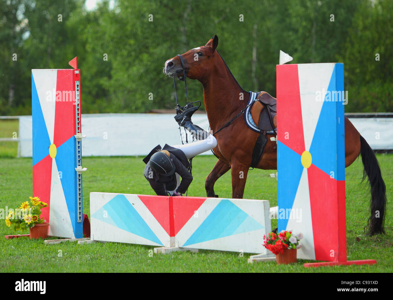 Brown horse dismount his rider over the obstacle Stock Photo - Alamy