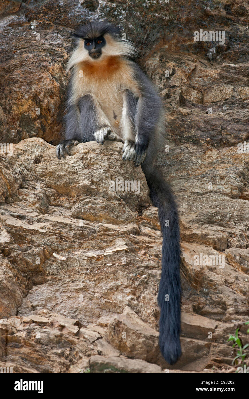 Mongar hi-res stock photography and images - Alamy