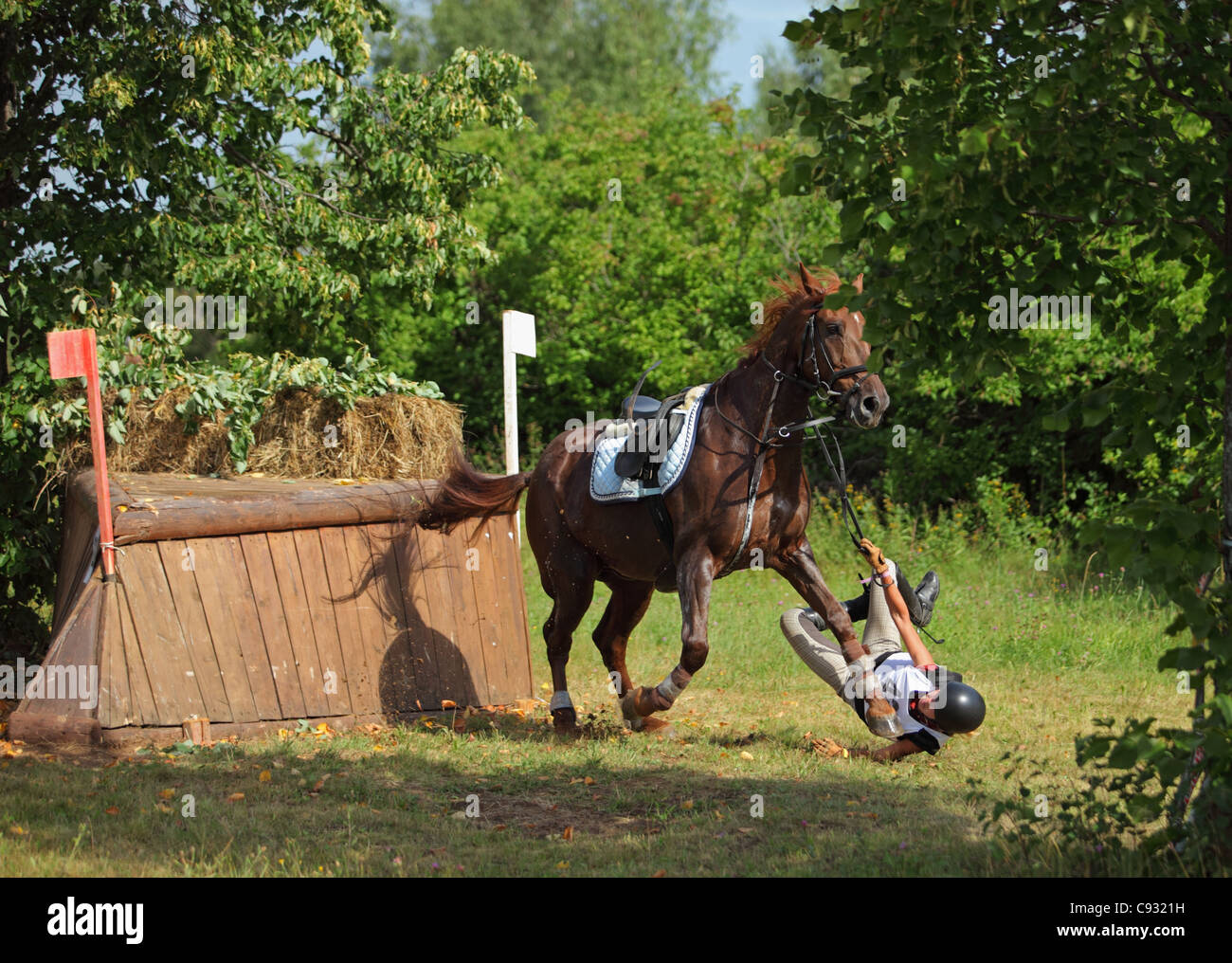 Brown horse refuse jump dismount hi-res stock photography and images ...