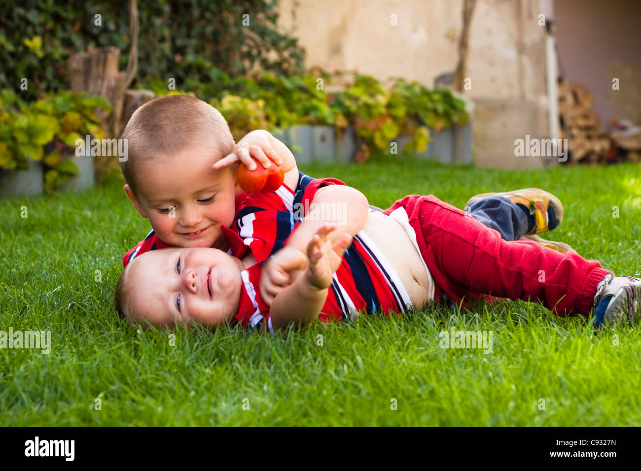 Cute little brothers playing in the grass Stock Photo - Alamy