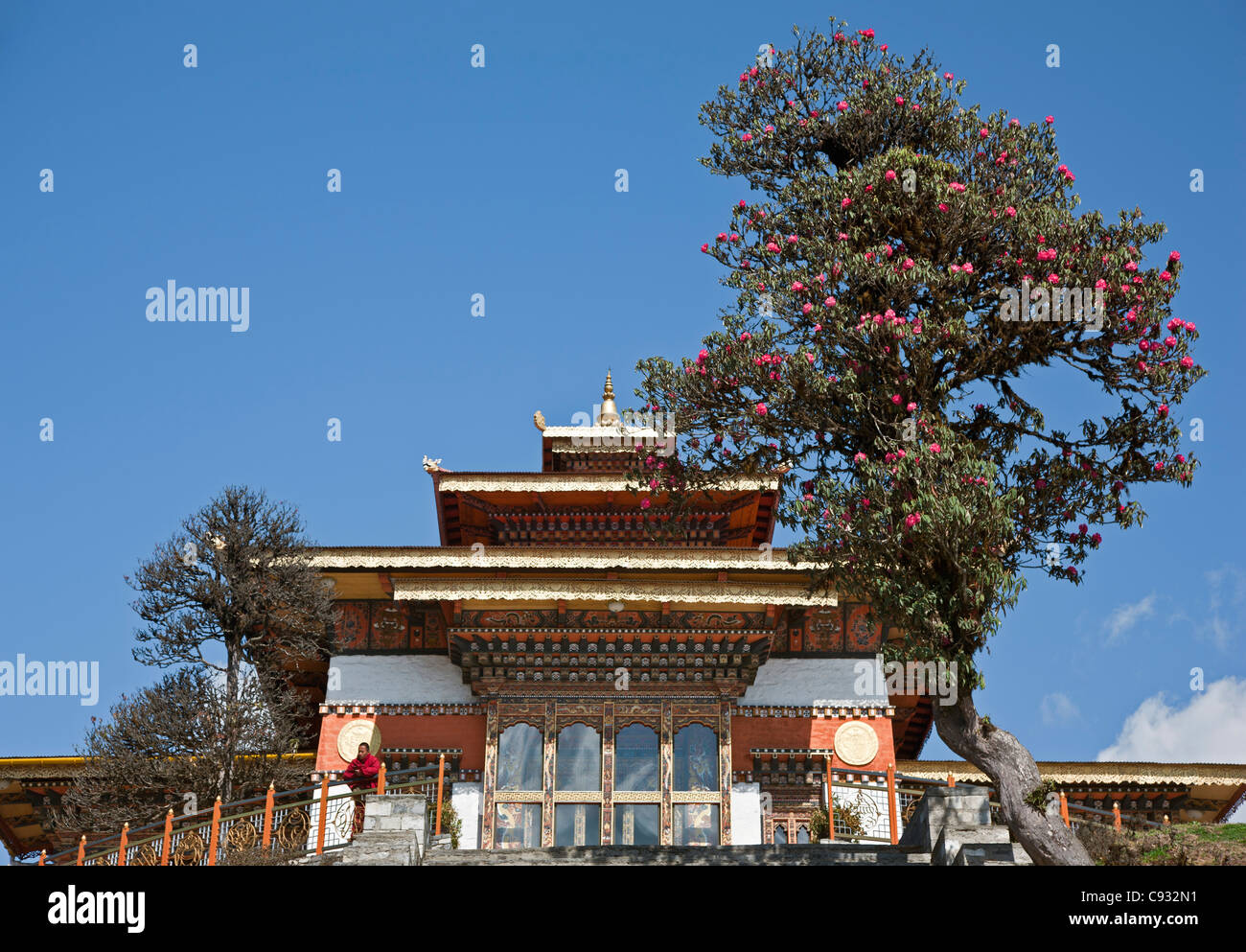 Bhutan and dochu la pass and flowers hi-res stock photography and ...