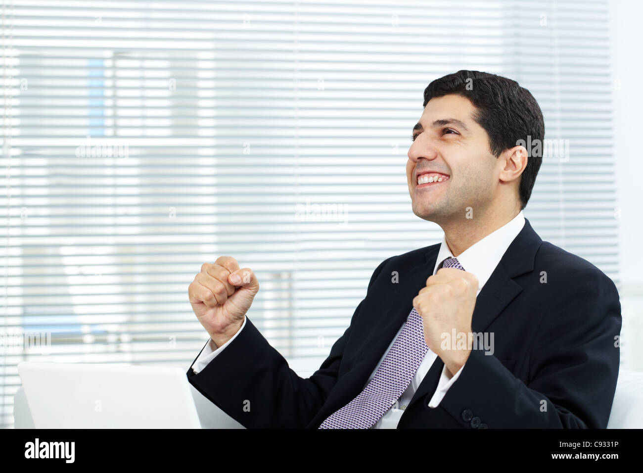Portrait of attractive businessman expressing his triumph Stock Photo ...