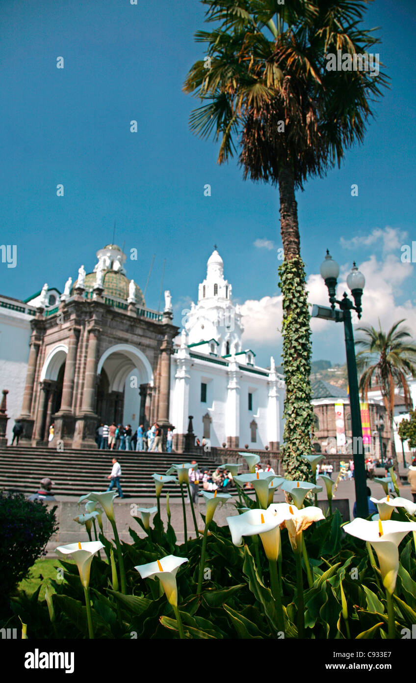 Ecuador, Quito. The Catedral de Quito is thought to be one of the ...