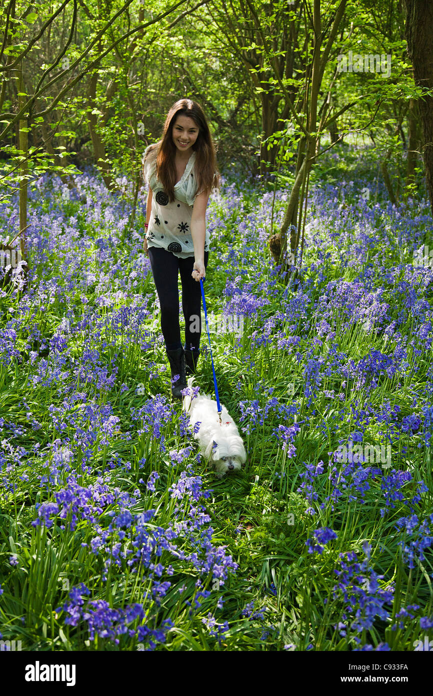 England, South East Kent, Kingsdown. Young girl enjoying walking her ...