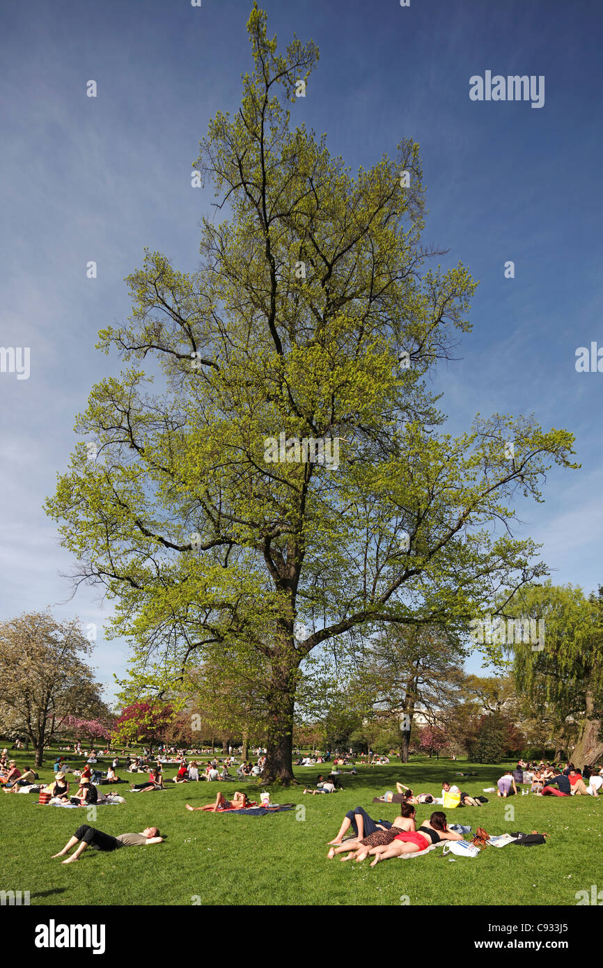 People enjoying a warm day in spring in London's Regent's Park, England ...