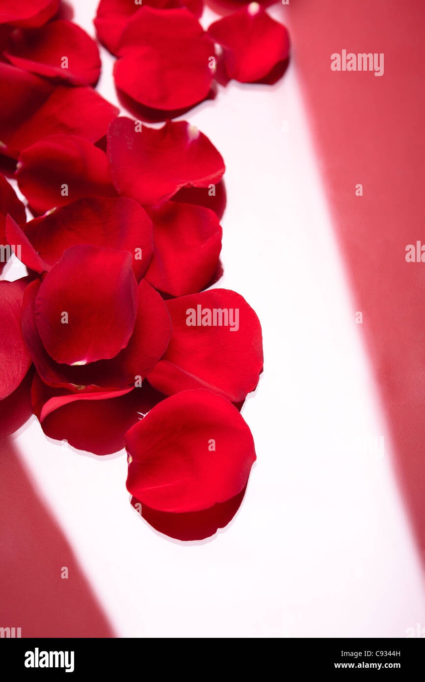 Vertical image of red rose petals Stock Photo - Alamy