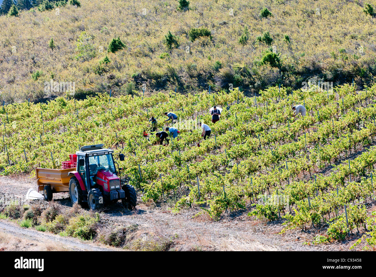 Maury france hi-res stock photography and images - Alamy