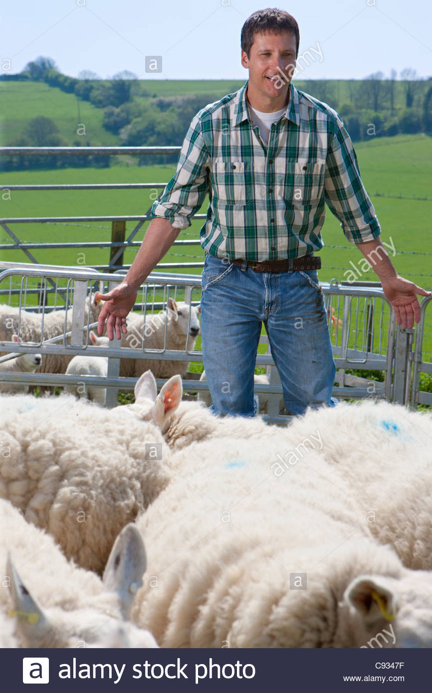 Herding Stock Photos & Herding Stock Images - Alamy