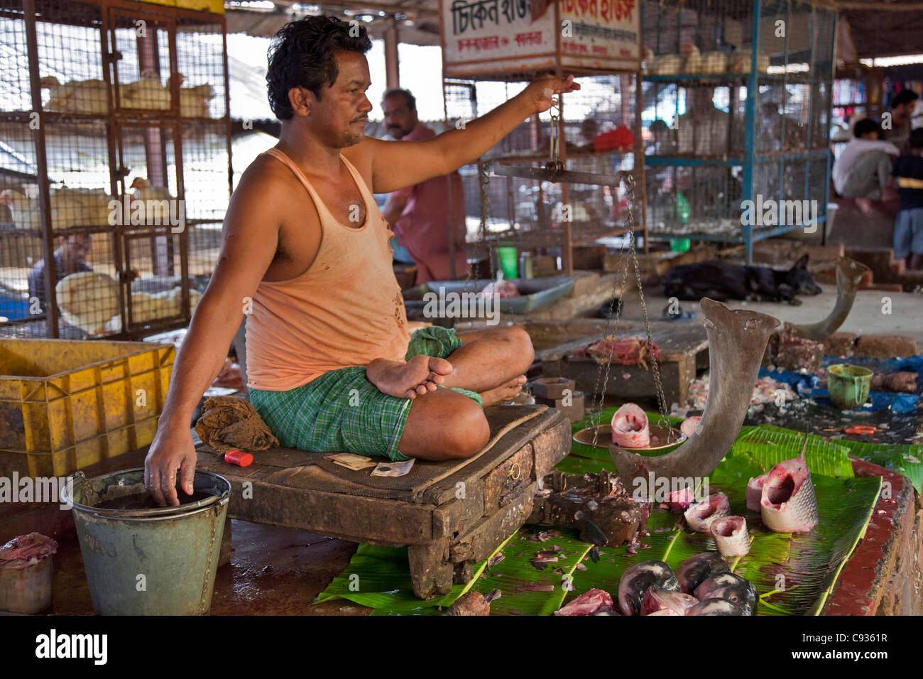 A fishmonger weighs a fish steak in Kalna market. All the fish are ...
